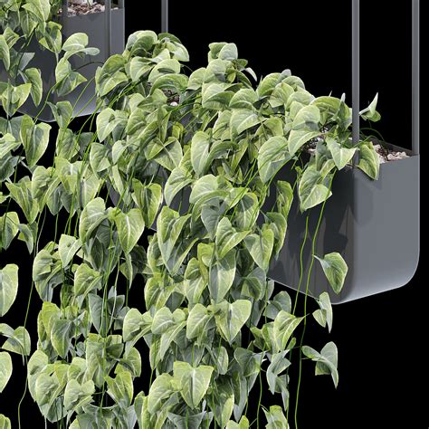 Metal Wall Planters 3d Model Cgtrader