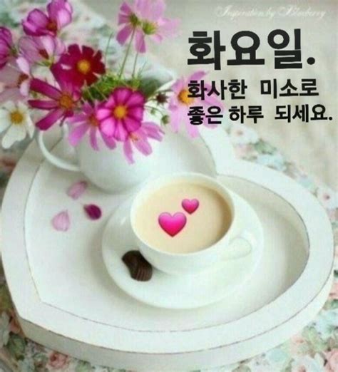 Daum 카페