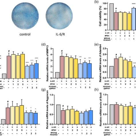 Characterization Of Mesoporous Polydopamine Mpda Nanoparticles A