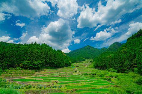 四谷千枚田の写真素材 532件の無料イラスト画像 Adobe Stock