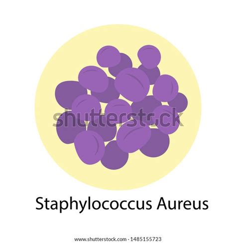 Bacteria Staphylococcus Aureus Icon Isolated On Stock Vector Royalty Free 1485155723