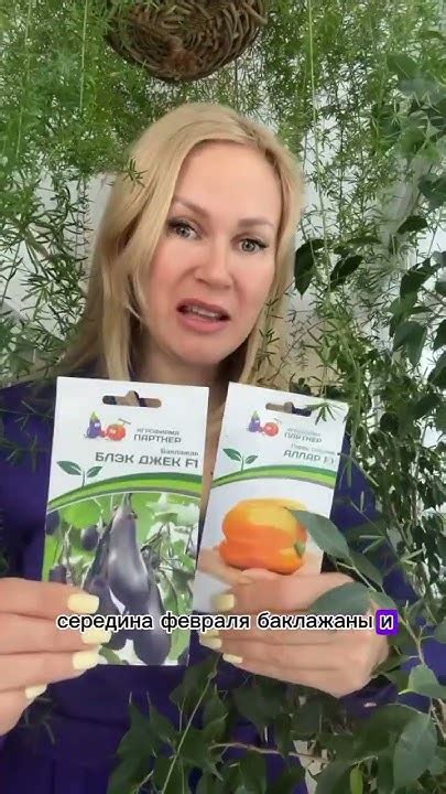Что посеять в феврале календарь садовода Youtube