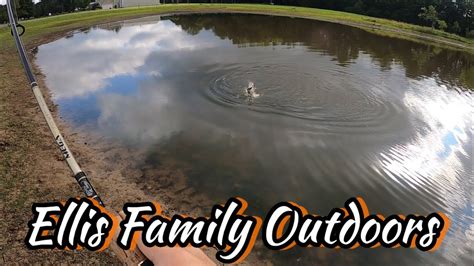 Pond Fishing For Topwater Bass Georgia Largemouths Youtube