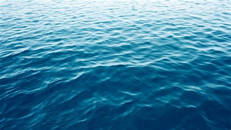 Jamie Calbert Realtor Sikeston Mo