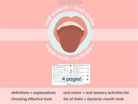 Occupational Therapy Oral Motor Oral Sensory Informational Handout Sensory Diet Ot Slp