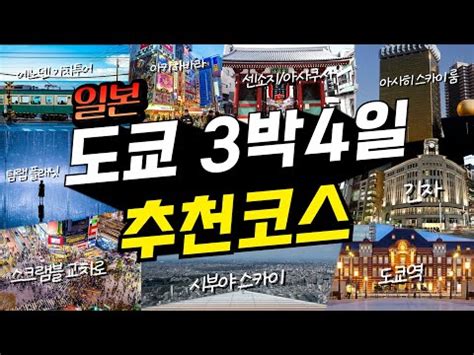 일본 현지인까지 극찬한 도쿄 3박4일 여행코스 완벽정리 꿀팁 공개