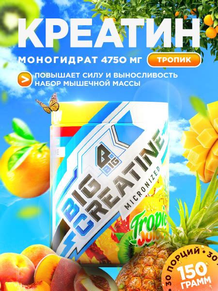 Креатин моногидрат BIGSNT BIG CREATINE для набора мышечной массы, силы ...