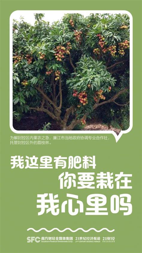一组湛江人的聊天记录瞒不住了 李剑华 丁青云 刘雪莹