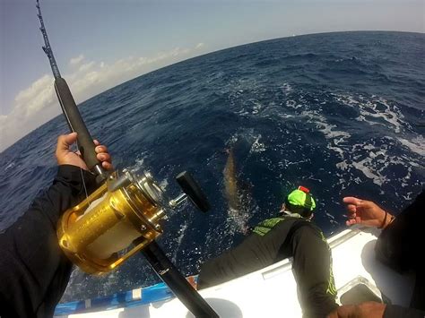 Twin Hooks 푸에르토 모렐로스 Twin Hooks의 리뷰 트립어드바이저