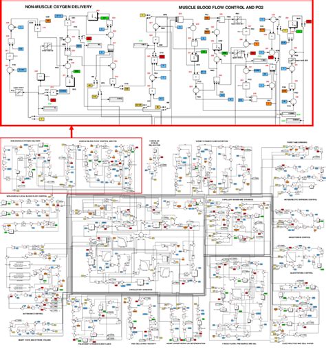 Guyton S Overall Regulation Model Of Circulation Implementation In