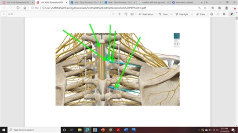 Unit 4 Lab 1 Diagram Quizlet