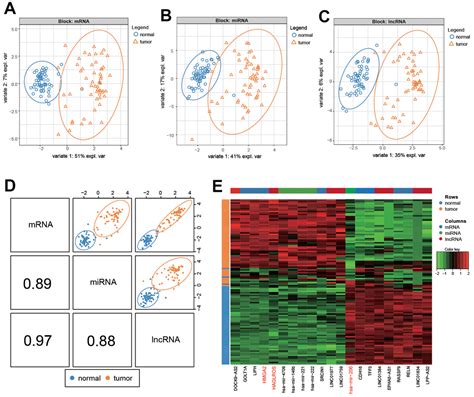 Lncrna Haglros Contribute To Papillary Thyroid Cancer Progression By