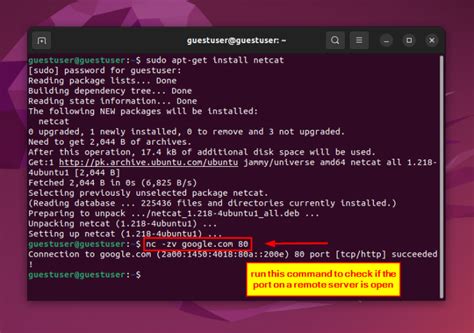 How To Ping Specific Port Linux Easy Methods