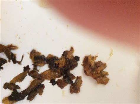 Pin By Marjorie Yarnell On Parasites Food Chocolate Candy