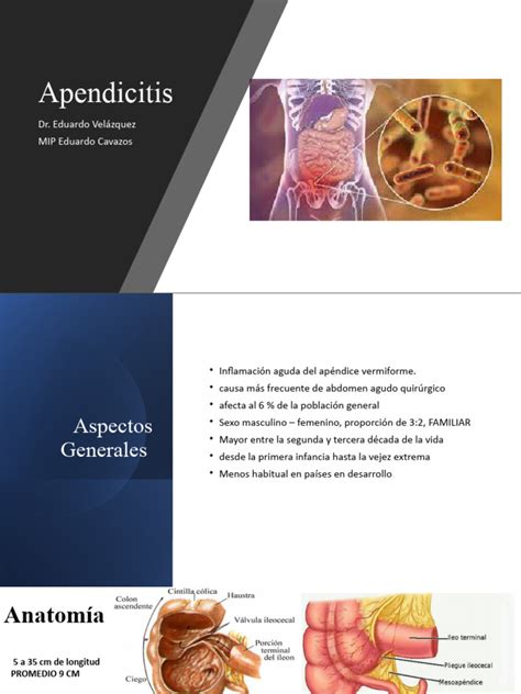 Apendix Pdf