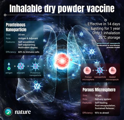 The Future Of Vaccines Unveiled In A Novel Single Dose Dry Powder