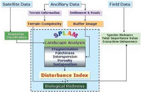 Flow Chart Showing Steps Involved In Biodiversity Characterization