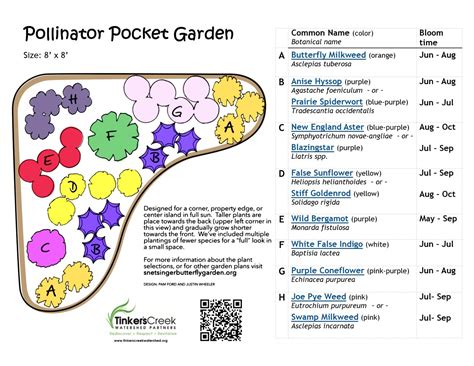 Pollinator Pocket Garden Web Version2 Tinkers Creek Watershed Partners