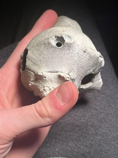 Shell Tools Rarrowheads