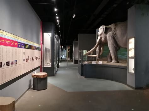 信州旅行 長野県立歴史館の楽しむ くらの旅行記