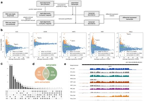 Identification Of Semi Extractable RNAs A RNA Seq Data Analysis