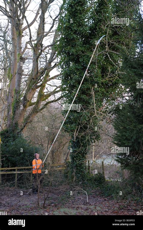 Extension Pruning Saw Hi Res Stock Photography And Images Alamy