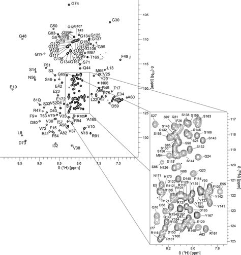 Resonance Assignments Of Hnrnp A18 The 2d ¹ H¹⁵ N Edited Hsqc Download Scientific Diagram
