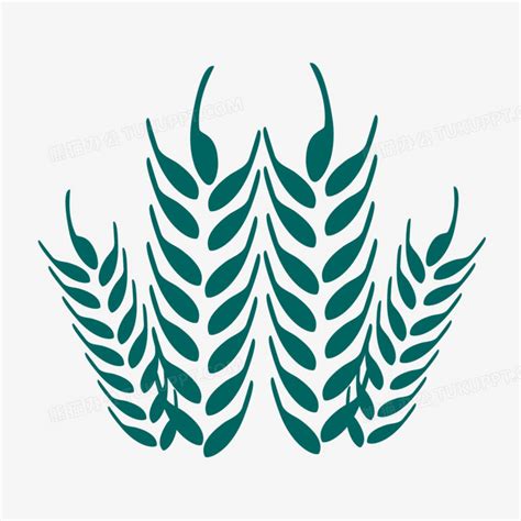 Png Png