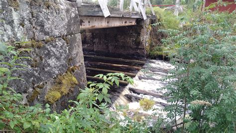 Reconnecting Tributaries In The Vindelälven Catchment Removal Of Five