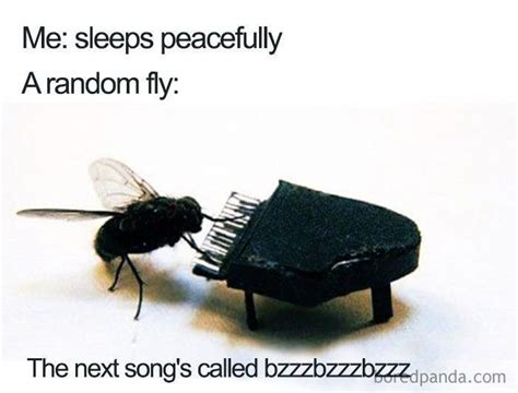 40 Of The Funniest Sleeping Memes Ever Bored Panda Sleep Funny