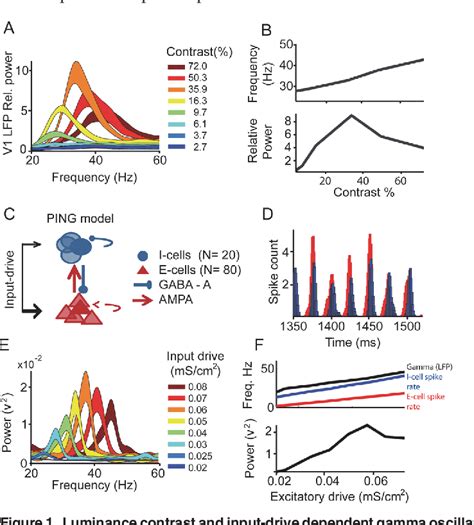 Figure 1 From Input Dependent Frequency Modulation Of Cortical Gamma Oscillations Shapes Spatial
