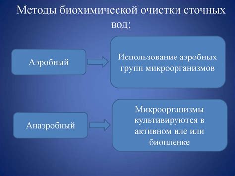 Биологическая очистка сточных вод презентация онлайн