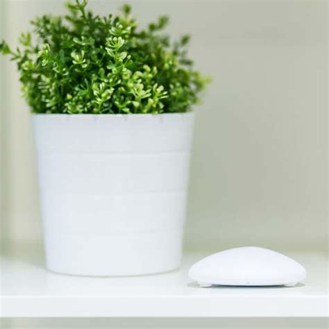 BlueMaestro Tempo Smart Environment Monitor Gadgetsin