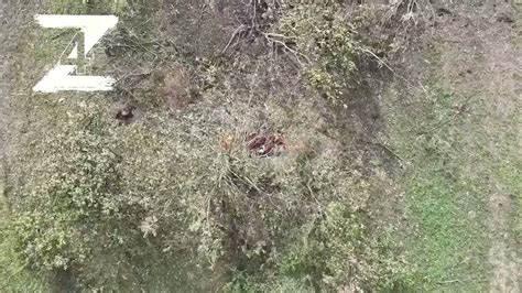 اللواء ألكسندر لينكوف Alexander Lenko Twitter