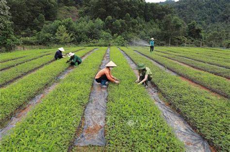 Green Productivity Brings Benefits To Enterprises Expert Netzerovn