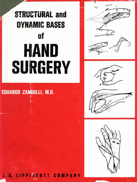 Structural And Dynemic Base Of Hand Surgery Pdf Musculoskeletal