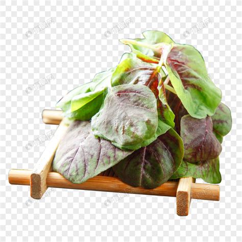 新鲜蔬菜苋菜元素素材下载 正版素材400665438 摄图网