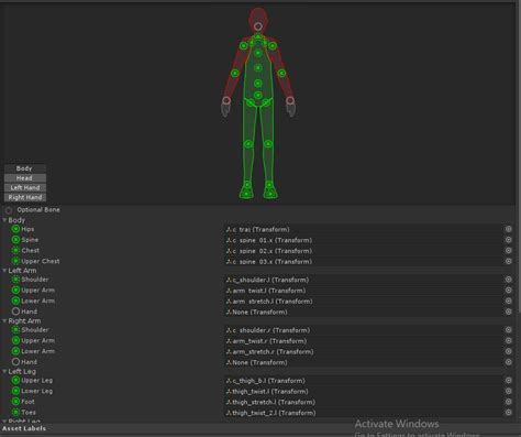 Help With Humanoid Rig Runity3d