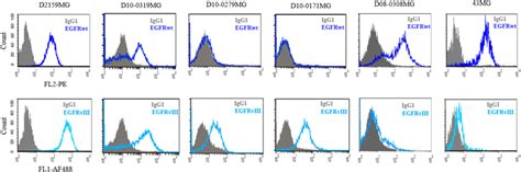 Egfr Expression On Gbm Xenograft Cells By Qfacs The Number Of Egfrwt