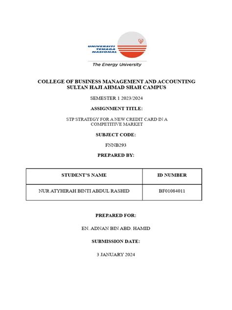 Assignment 3 Nur Atyhirah Abdul Rashid Bf01084011 Pdf Market Segmentation Target Audience