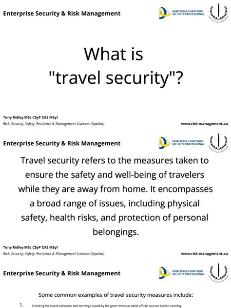 Travel Security Pdf