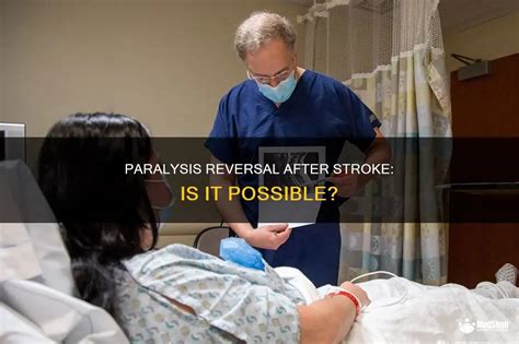 Paralysis Reversal After Stroke Is It Possible Medshun