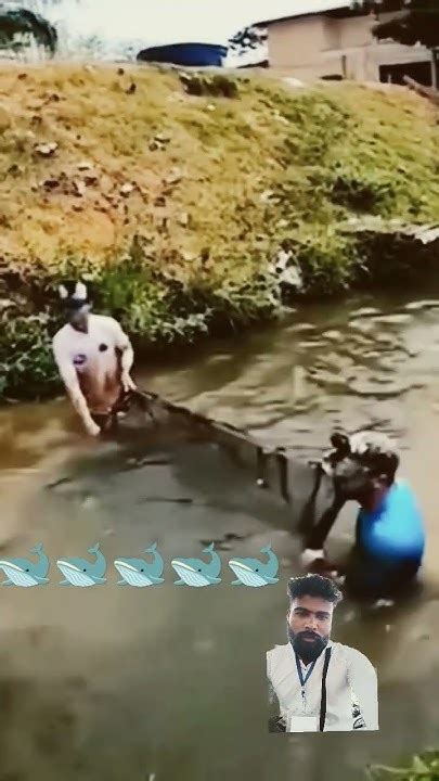 Machhali Pakdate Samayfishing Youtube