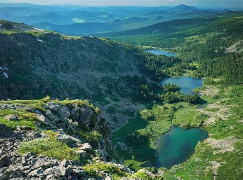 ინტერნეტ მაღაზია Siberian Wellness