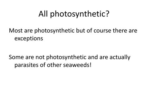 Ppt Multicellular Primary Producers Seaweeds And Plants Powerpoint