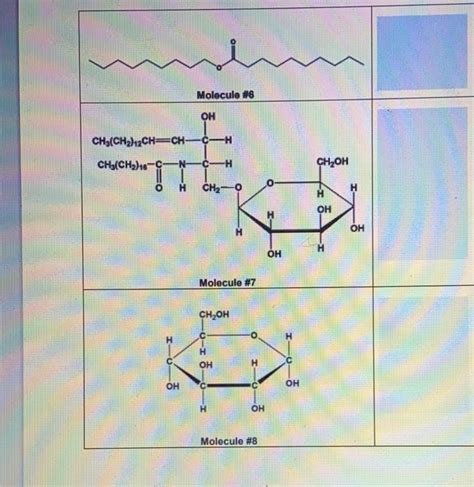 Solved Moleculo H Ch C Ch Ch Ch Chegg Com