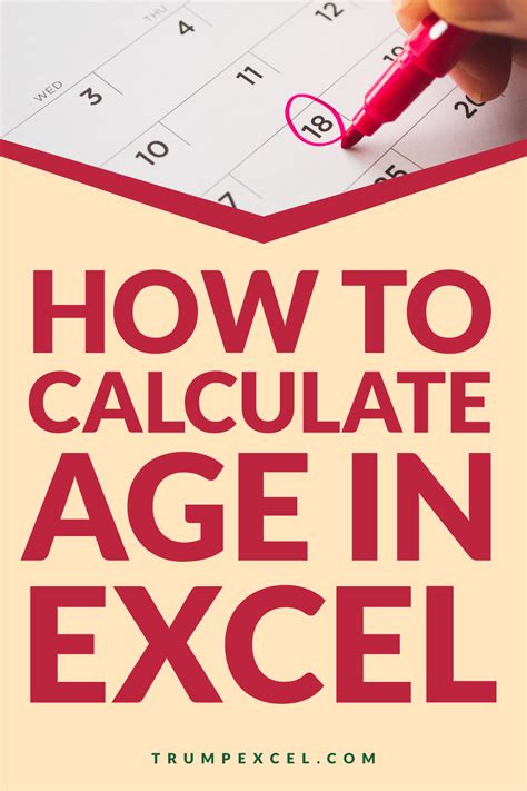 160 Excel Ideas Excel Excel Tutorials Microsoft Excel Tutorial