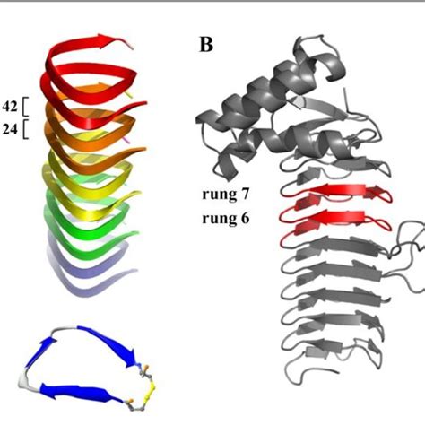 Levels And Reproducibility Of Fibril Formation In Solution Of Peptide Download Scientific