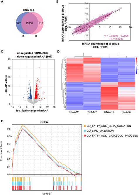 Transcriptome Analysis A Venn Diagram Showing The Distinct And
