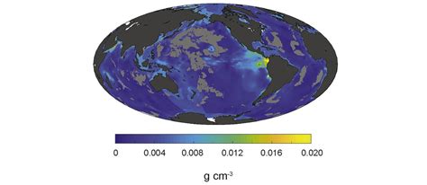 Insights Into The Fate Of Organic Carbon In Marine Sediments News